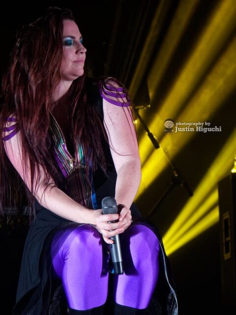 Der Erfolg von Evanescence - Ton an